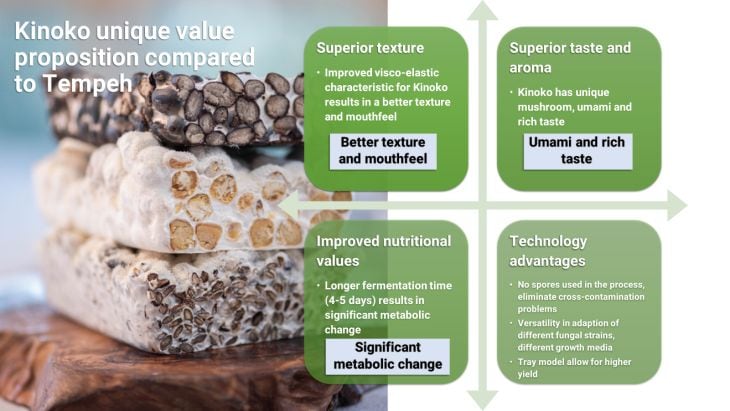 Kinoko harnesses solid state fermentation to offer high-protein ...